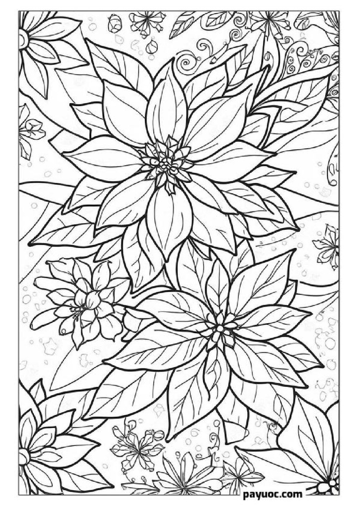 15+ Christmas Flower Coloring Pages (FREE PDFs)