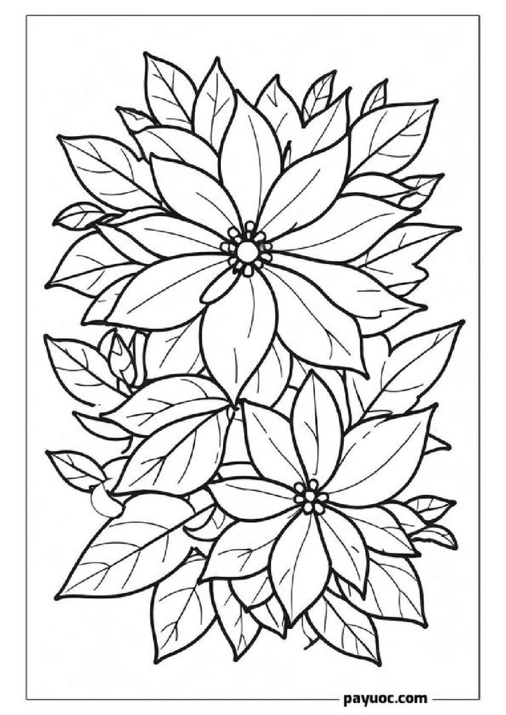 15+ Christmas Flower Coloring Pages (FREE PDFs)