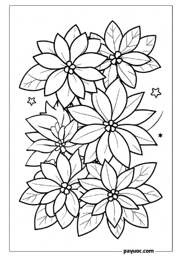 15+ Christmas Flower Coloring Pages (FREE PDFs)