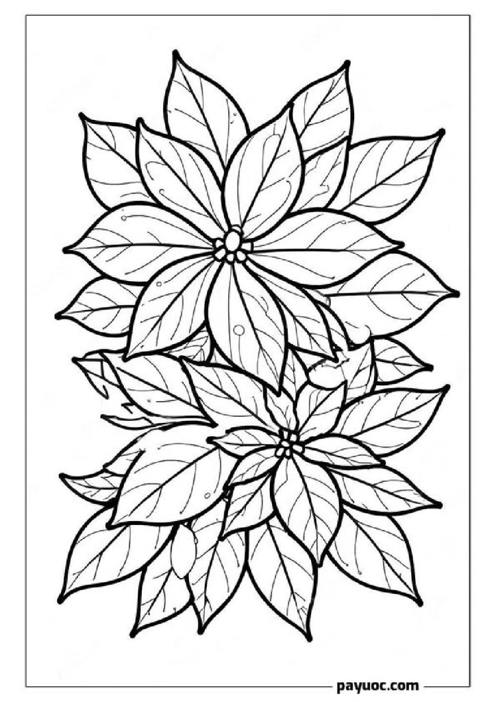 20+ Christmas Poinsettia Coloring Page (FREE PDFs)