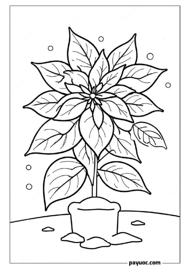 15+ Christmas Flower Coloring Pages (FREE PDFs)