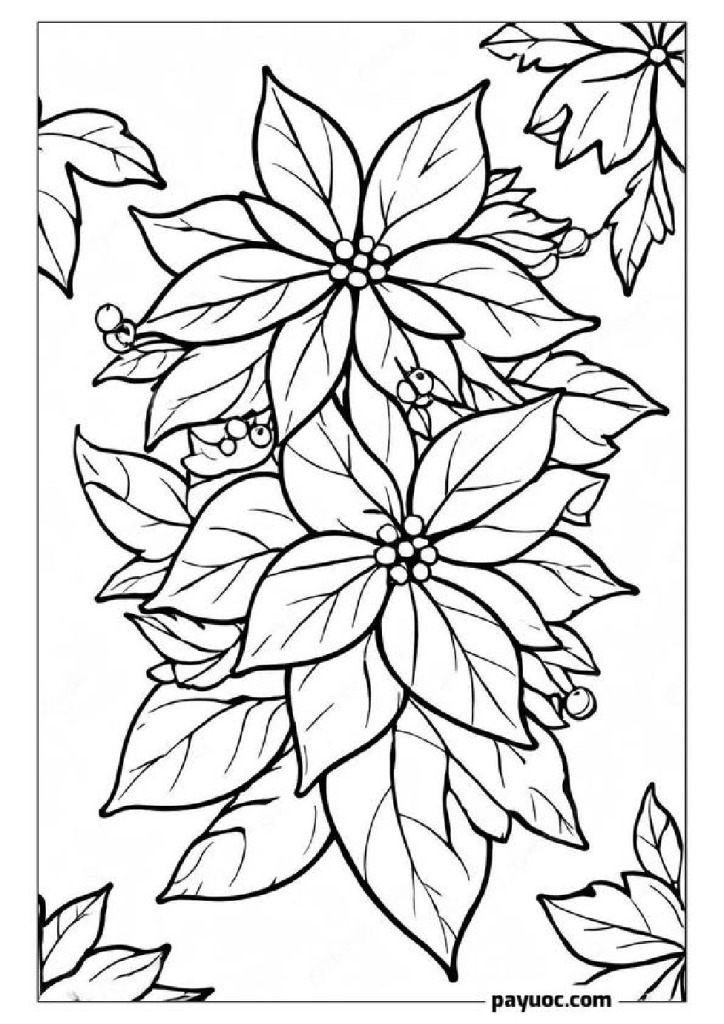 20+ Christmas Poinsettia Coloring Page (FREE PDFs)