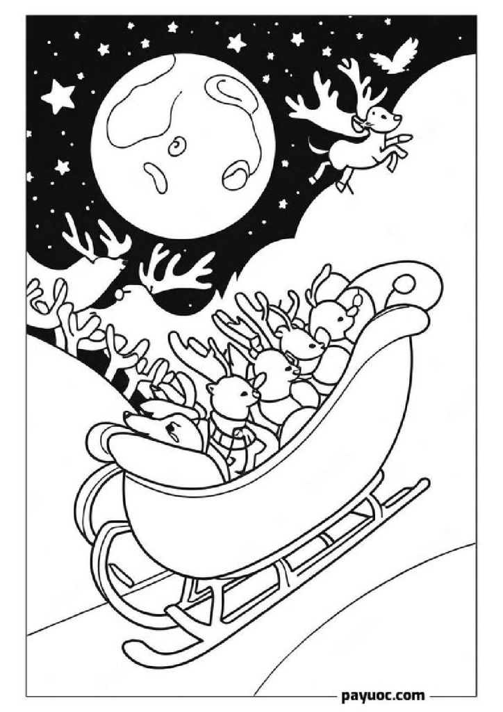 20+ Christmas Zentangle Coloring Pages (FREE PDFs)