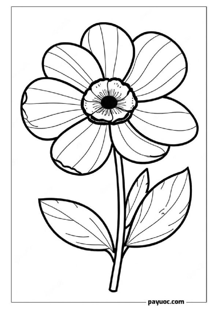 60+ Fun Anemone Coloring Pages for Kids (FREE PDFs)