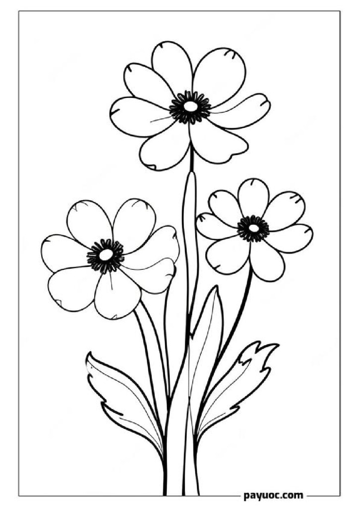 60+ Fun Anemone Coloring Pages for Kids (FREE PDFs)