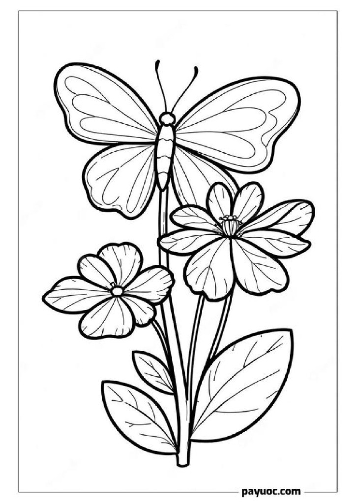 80+ Begonia Flower Coloring Pages (FREE PDFs)