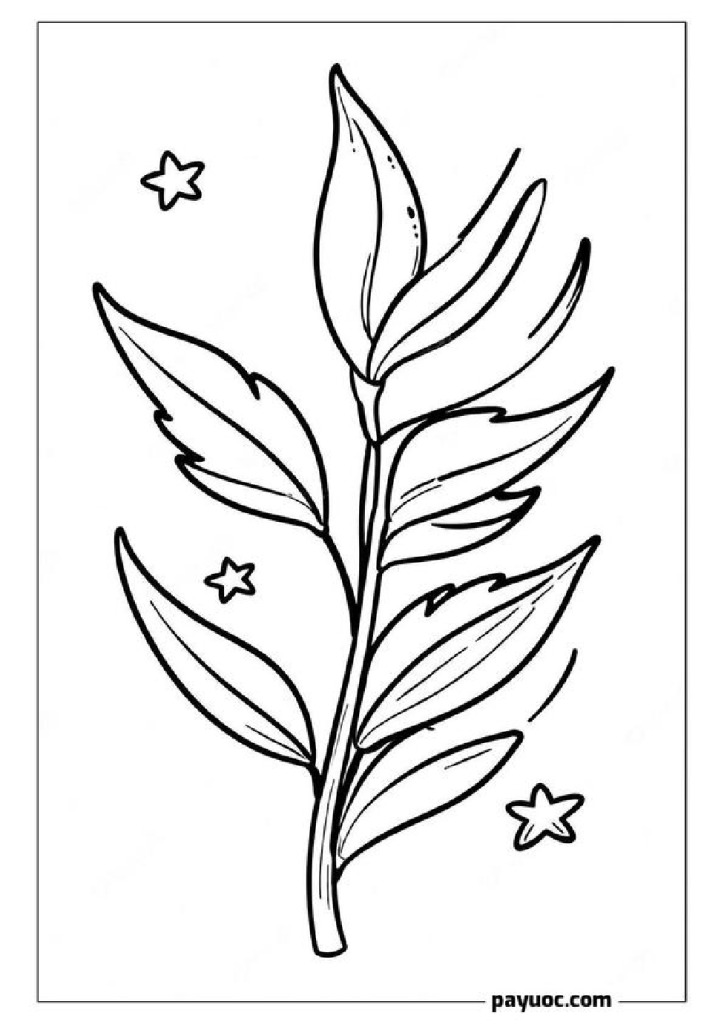 40+ Heliconia Flower Coloring Pages (FREE PDFs)