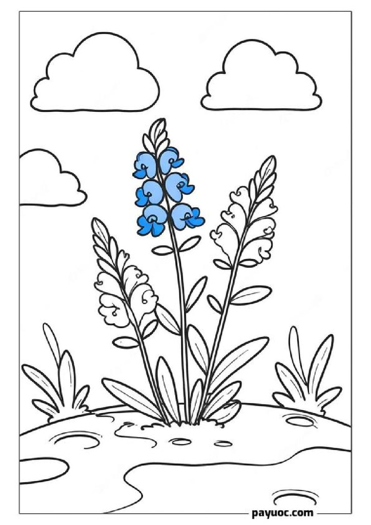 60+ Bluebonnet Flower Coloring Pages for Kids (FREE PDFs)