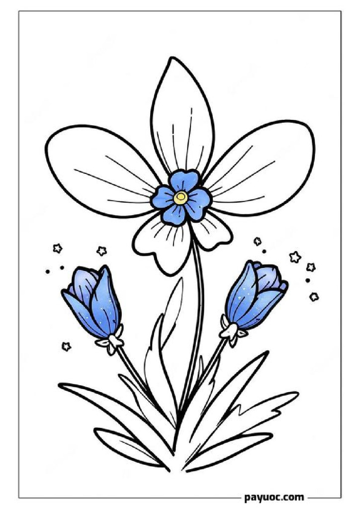 60+ Bluebonnet Flower Coloring Pages for Kids (FREE PDFs)