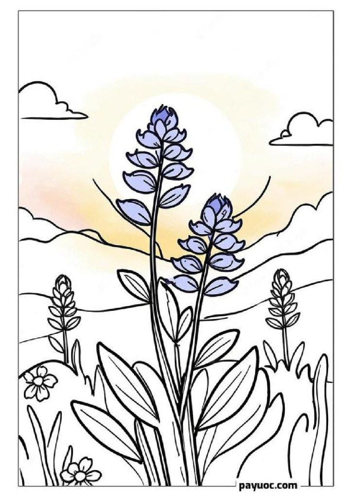 60+ Bluebonnet Flower Coloring Pages for Kids (FREE PDFs)