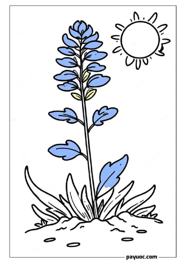 60+ Bluebonnet Flower Coloring Pages for Kids (FREE PDFs)