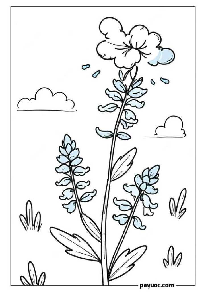 60+ Bluebonnet Flower Coloring Pages for Kids (FREE PDFs)