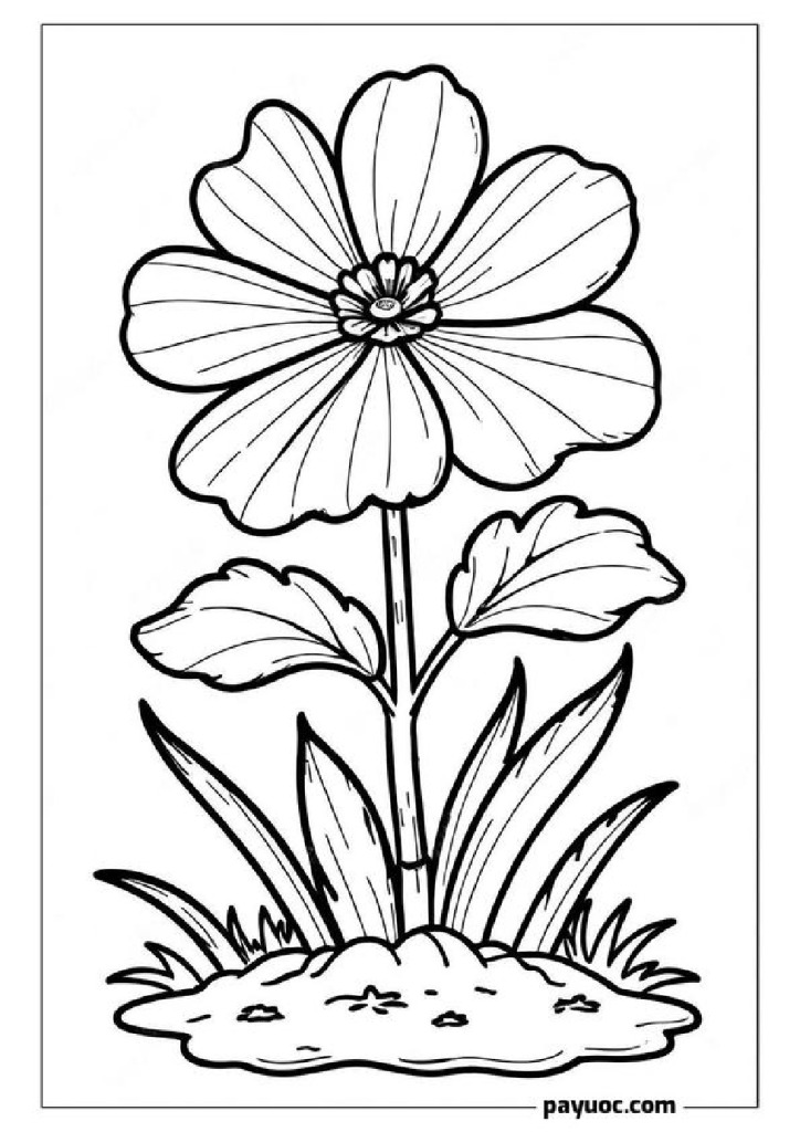 80+ Begonia Flower Coloring Pages (FREE PDFs)