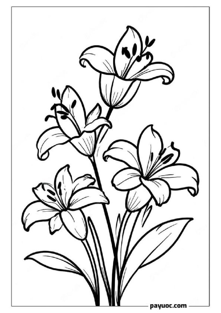 40+ Lilies Coloring Pages for Kids (FREE PDFs)