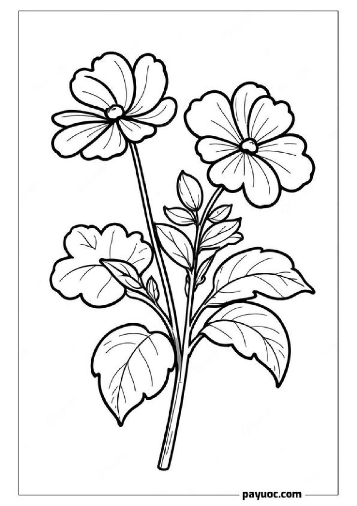 80+ Begonia Flower Coloring Pages (FREE PDFs)
