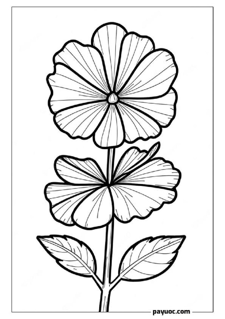 45+ Geranium Flower Coloring Pages (FREE PDFs)