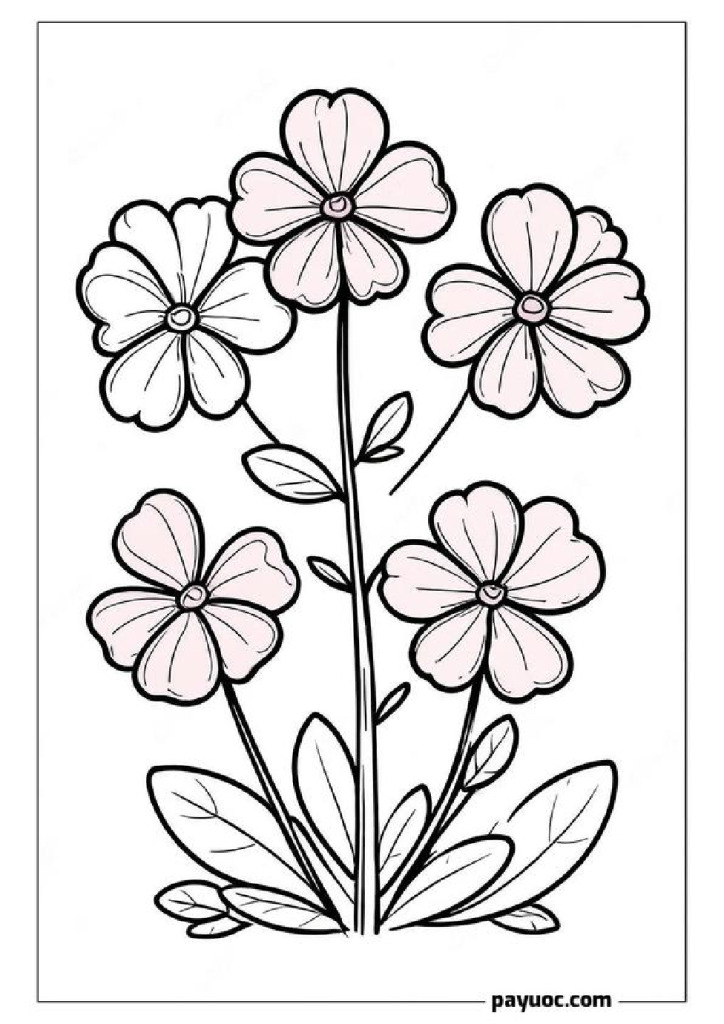 45+ Geranium Flower Coloring Pages (FREE PDFs)