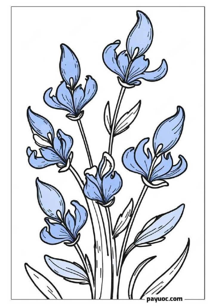 60+ Bluebonnet Flower Coloring Pages for Kids (FREE PDFs)