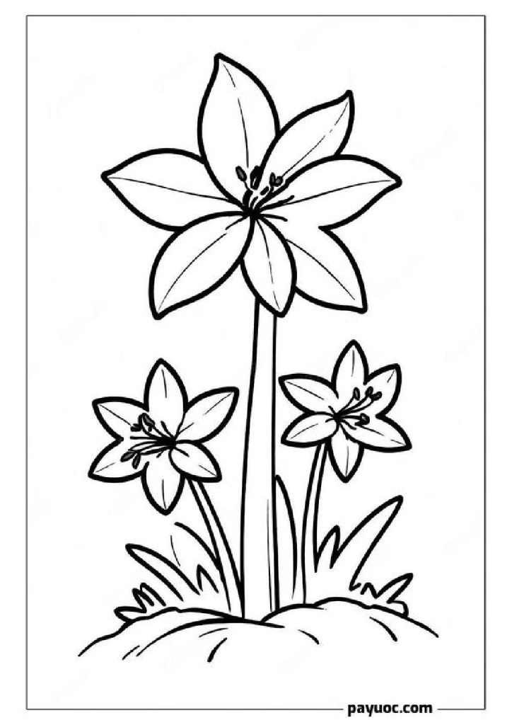125+ Amaryllis Flower Coloring Pages (FREE PDFs)