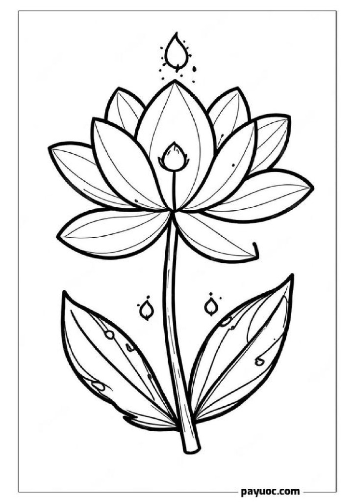 35+ Free Lotus Flower Coloring Pages (FREE PDFs)