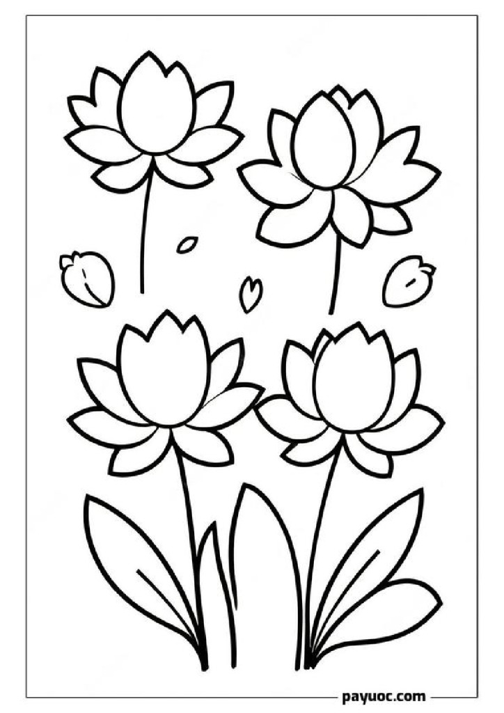 35+ Free Lotus Flower Coloring Pages (FREE PDFs)