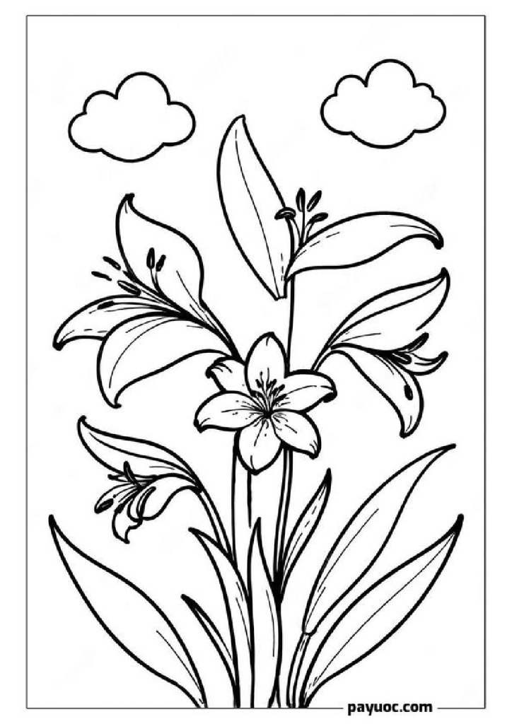 40+ Lilies Coloring Pages for Kids (FREE PDFs)