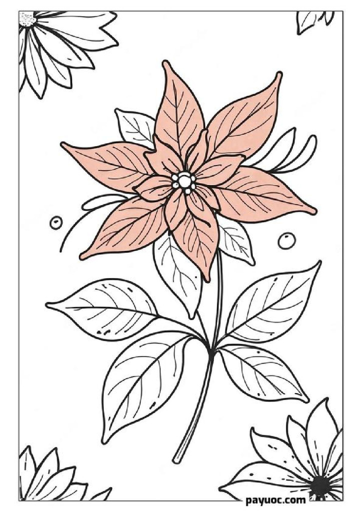 40+ Poinsettia Flower Coloring Pages (FREE PDFs)