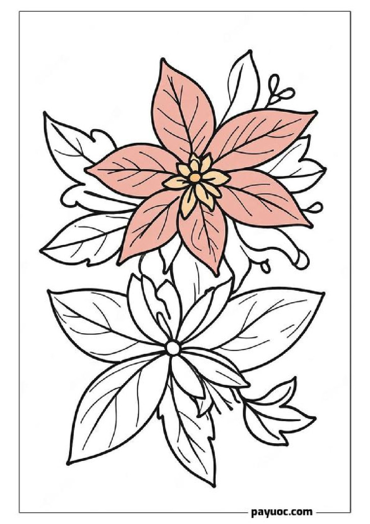 40+ Poinsettia Flower Coloring Pages (FREE PDFs)