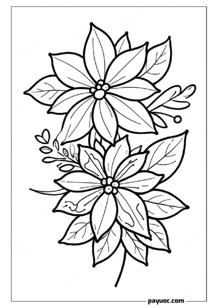 40+ Poinsettia Flower Coloring Pages (FREE PDFs)