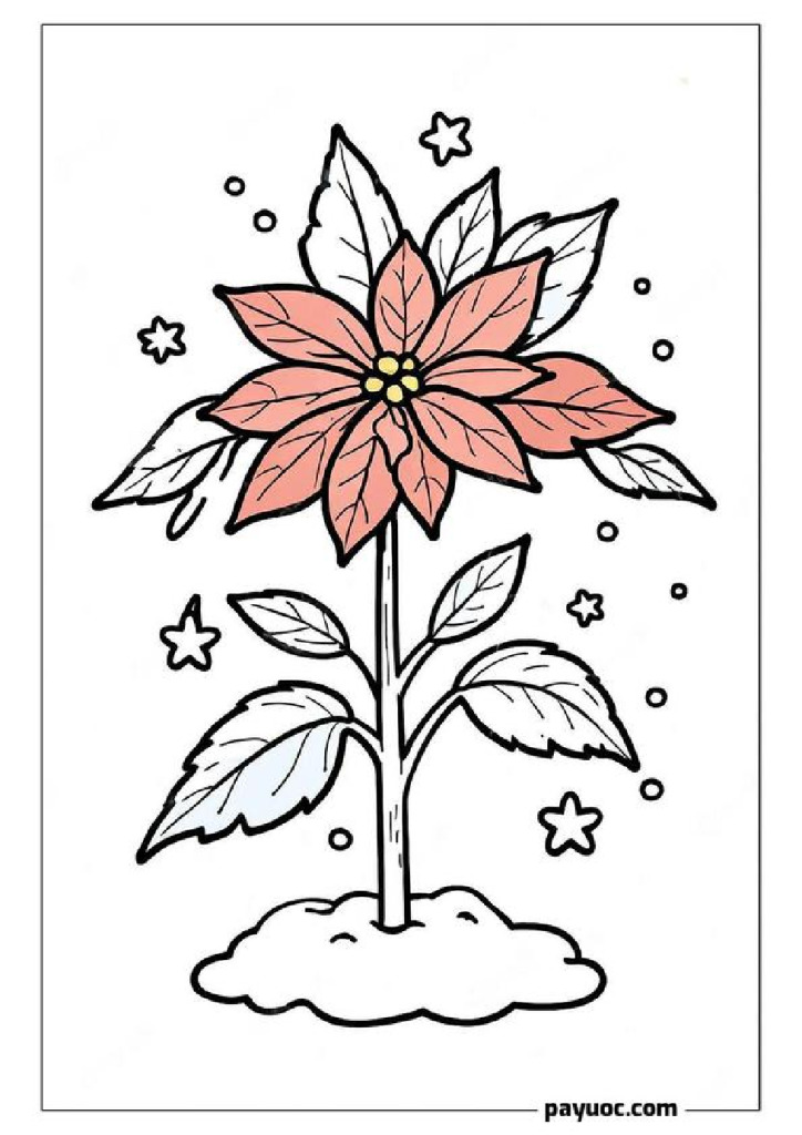 40+ Poinsettia Flower Coloring Pages (FREE PDFs)