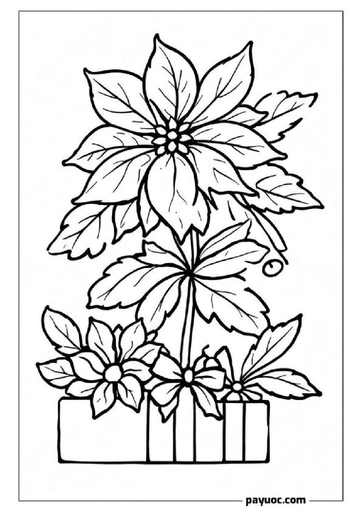 40+ Poinsettia Flower Coloring Pages (FREE PDFs)