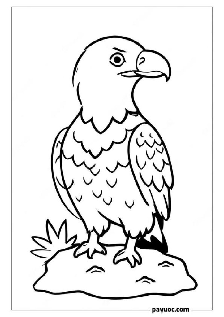 45+ Bald Eagle Coloring Sheets for Kids (FREE PDFs)