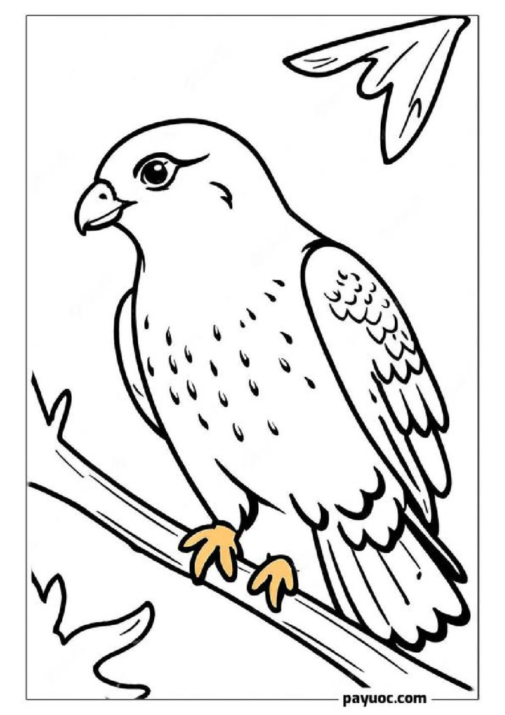 35+ Peregrine Falcon Coloring Pages (FREE PDFs)