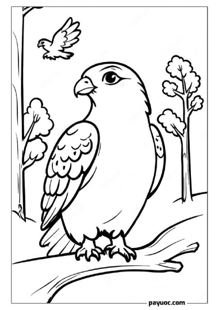 35+ Peregrine Falcon Coloring Pages (FREE PDFs)