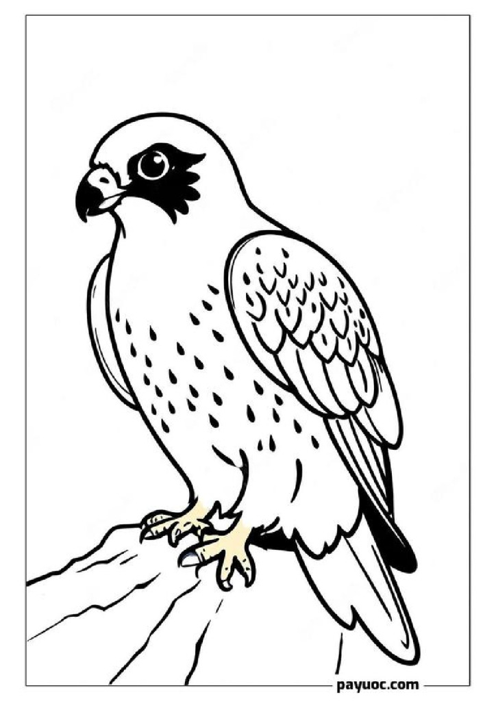 35+ Peregrine Falcon Coloring Pages (FREE PDFs)