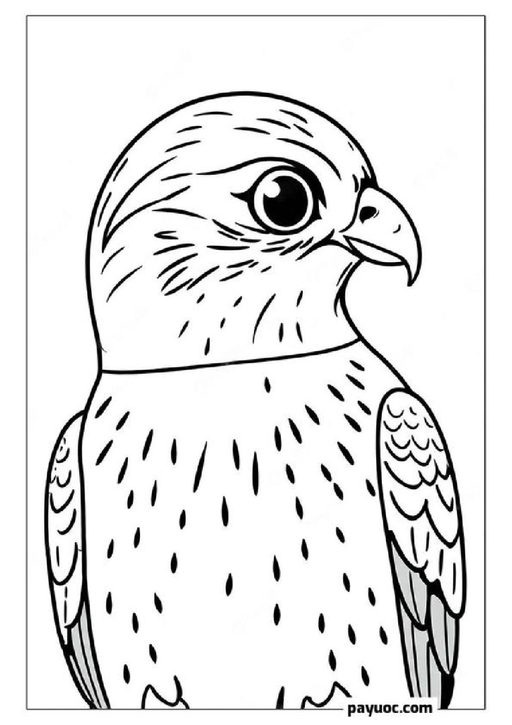 35+ Peregrine Falcon Coloring Pages (FREE PDFs)