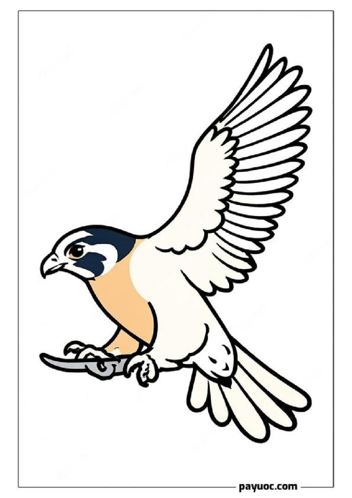 35+ Peregrine Falcon Coloring Pages (FREE PDFs)