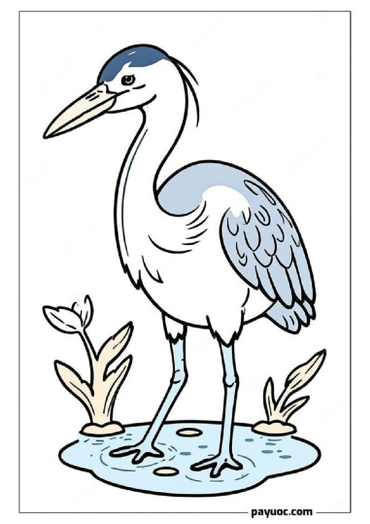 40+ Great Blue Heron Coloring Pages (FREE PDFs)