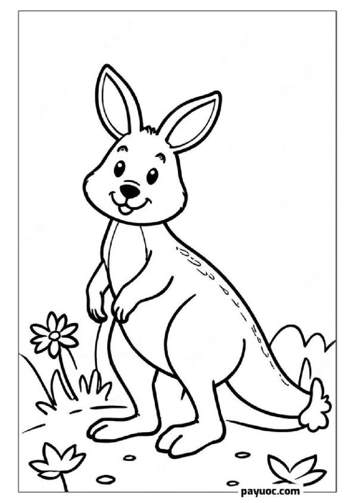 40+ Kangaroo Coloring Pages for Kids (FREE PDFs)