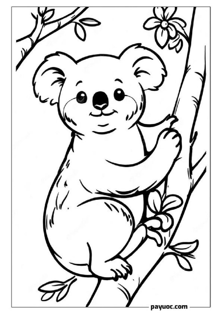 40+ Koala Bear Coloring Pages for Kids (FREE PDFs)
