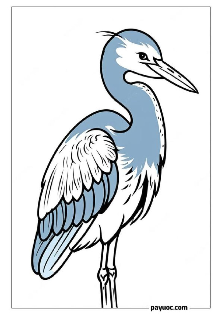 40+ Great Blue Heron Coloring Pages (FREE PDFs)