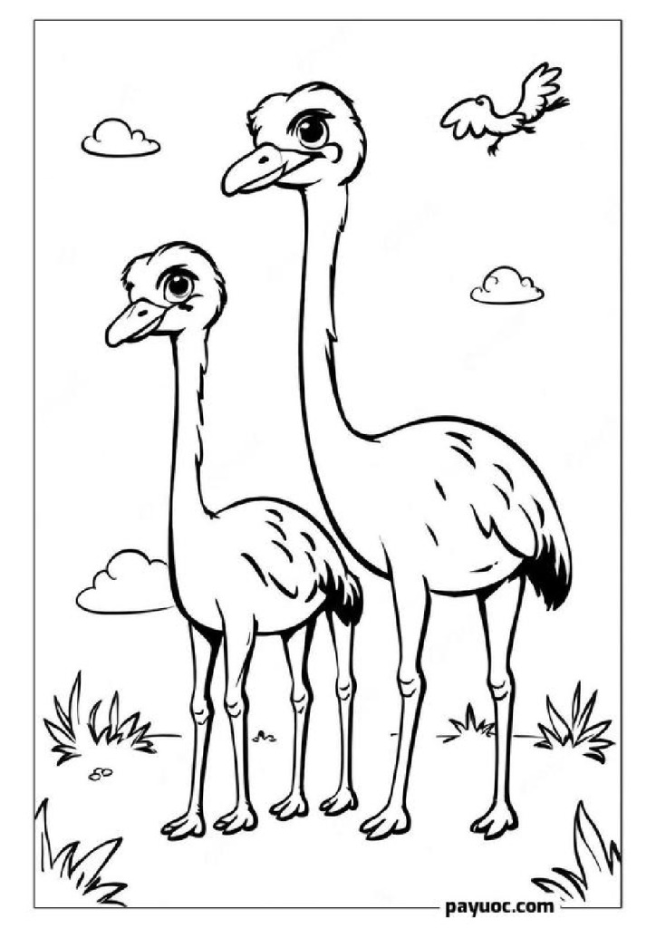 35+ Ostrich Coloring Pages (FREE PDFs)