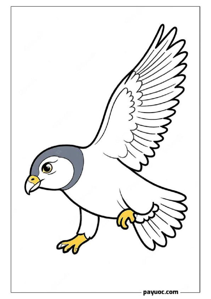 35+ Peregrine Falcon Coloring Pages (FREE PDFs)