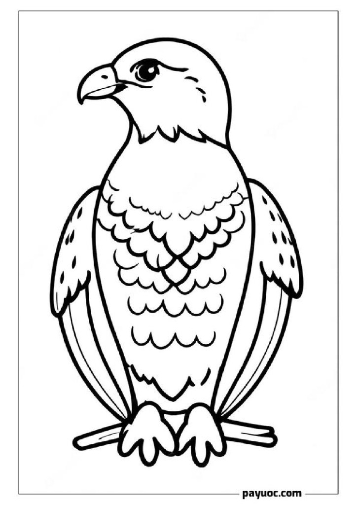 35+ Peregrine Falcon Coloring Pages (FREE PDFs)