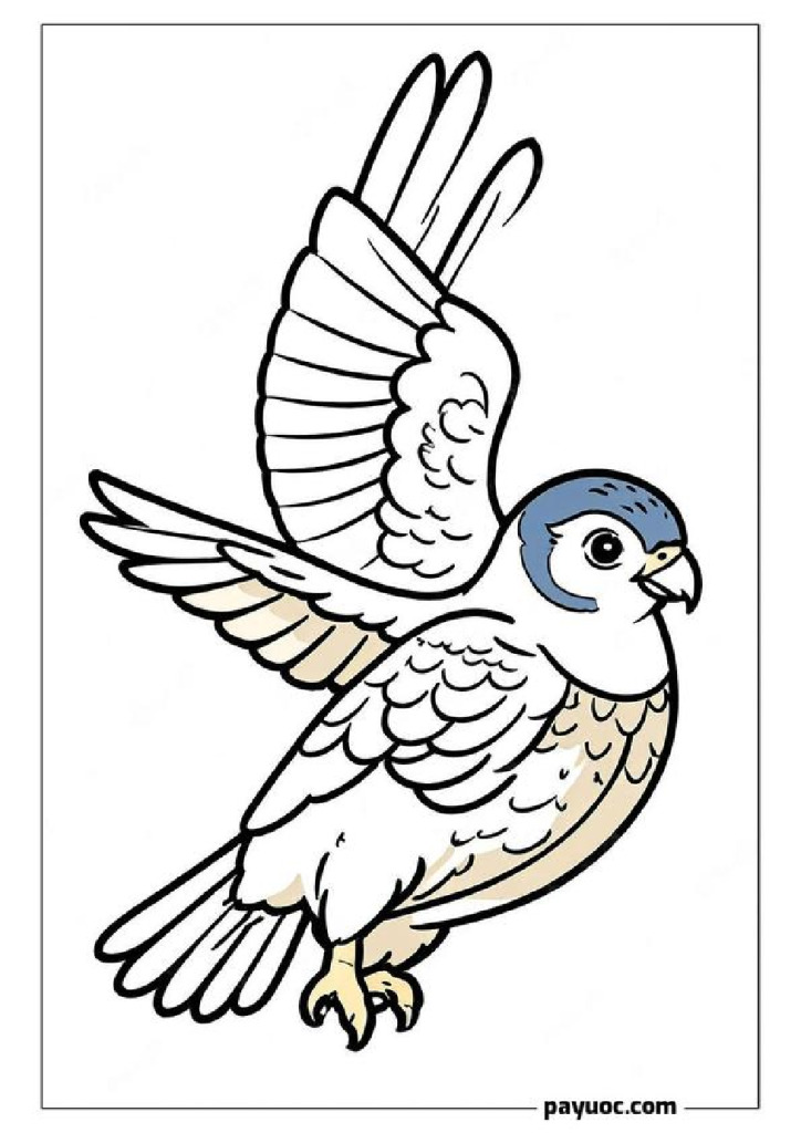 35+ Peregrine Falcon Coloring Pages (FREE PDFs)