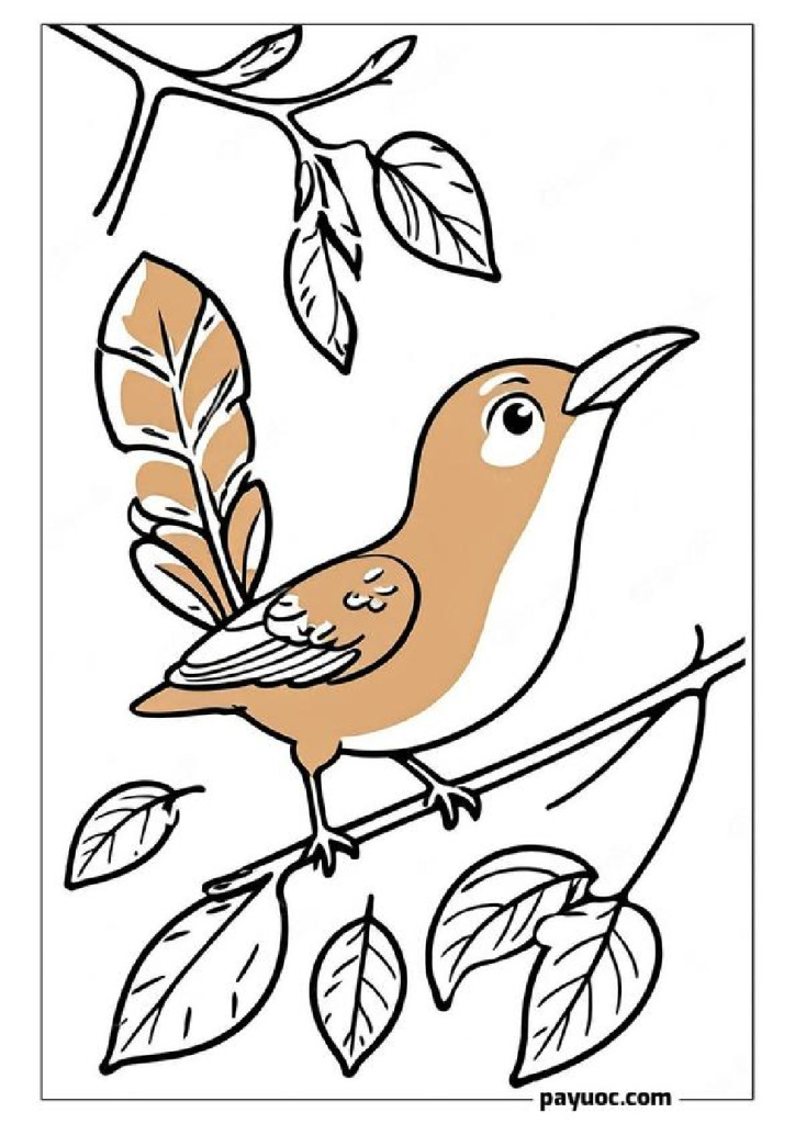 30+ Brown Thrasher Coloring Pages (FREE PDFs)
